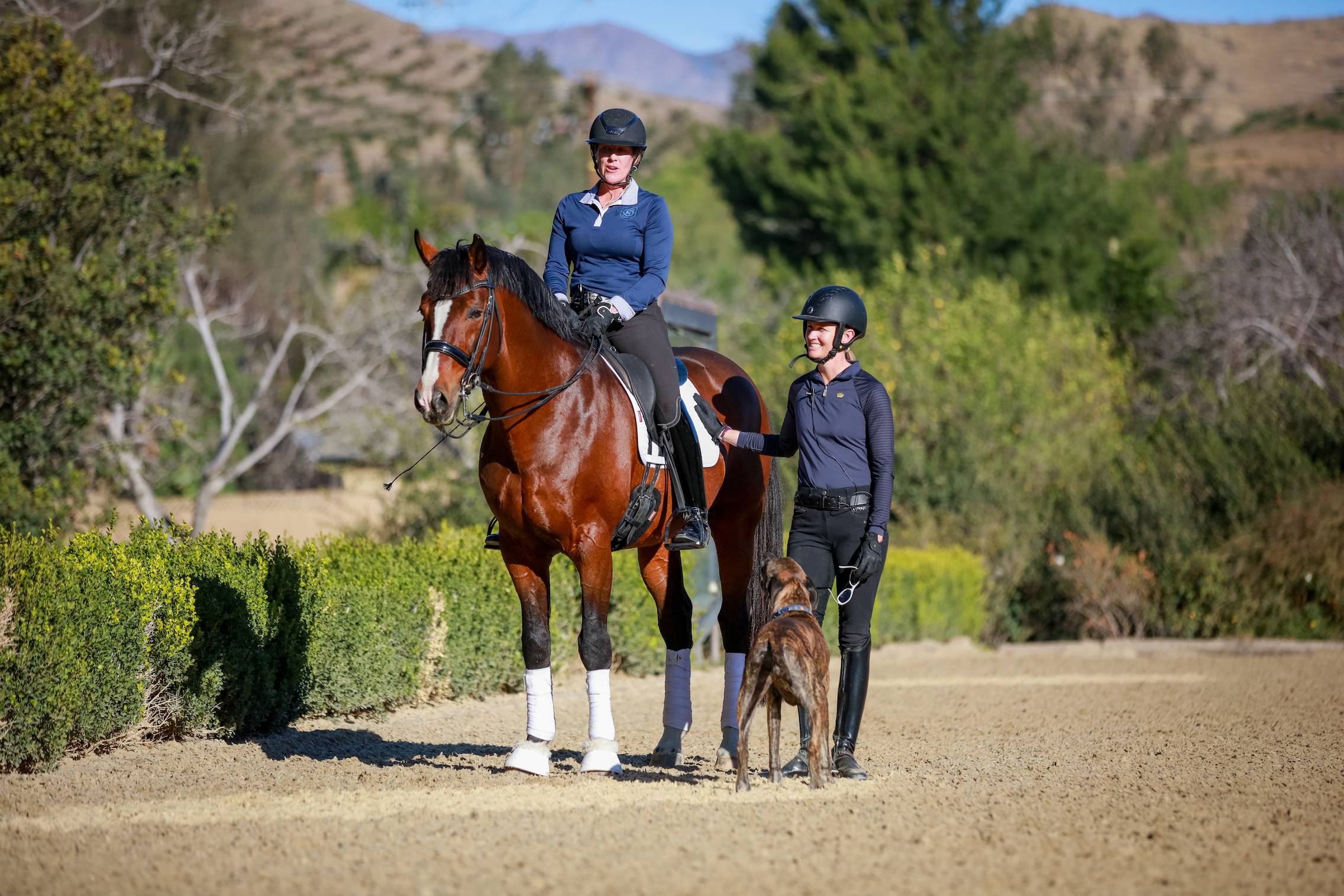 Dressage Trainer | About Amelia | Amelia Newcomb Dressage