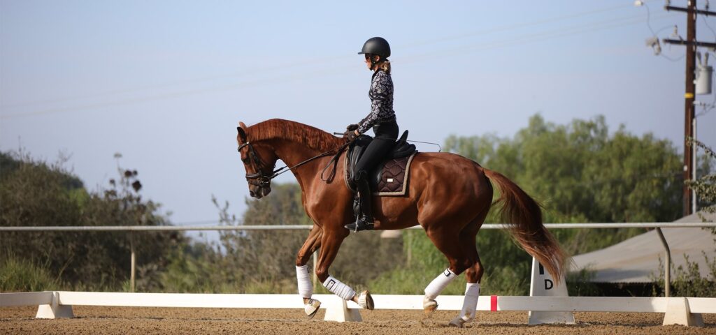 About Amelia – Amelia Newcomb Dressage