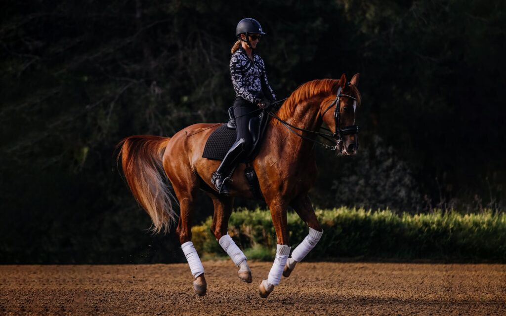 Rider Position Masterclass - Amelia Newcomb Dressage