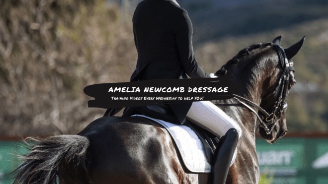Dressage Training | Home | Amelia Newcomb Dressage