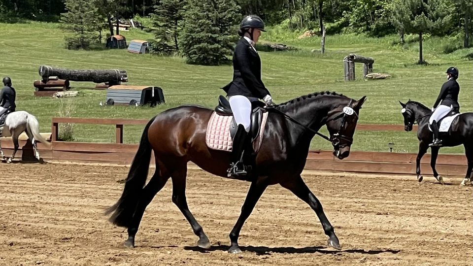 Dressage Tips - Amelia Newcomb Dressage