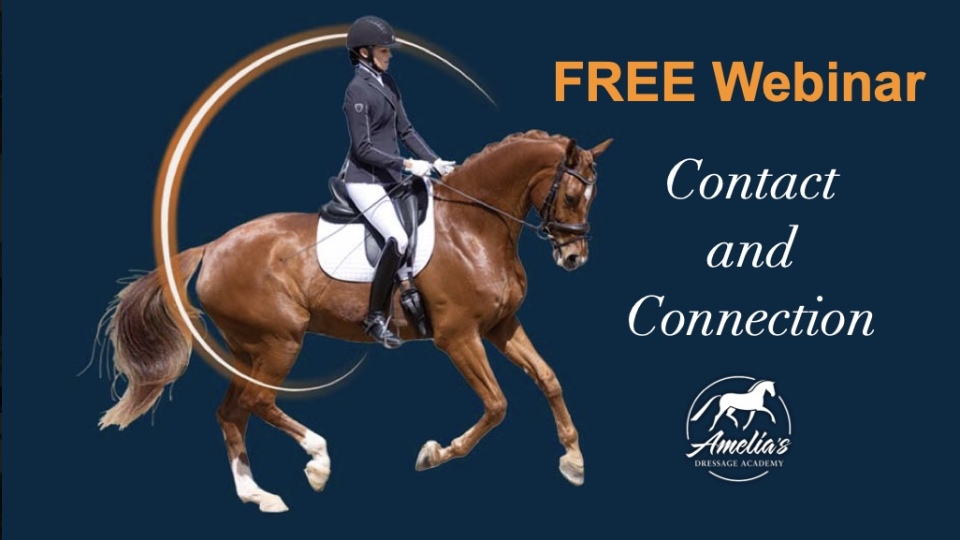 Dressage Tips - Amelia Newcomb Dressage